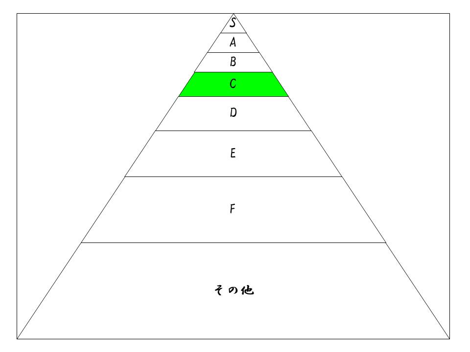 C級大学 – 地方国公立&中堅私大:上位 - 日本の学歴